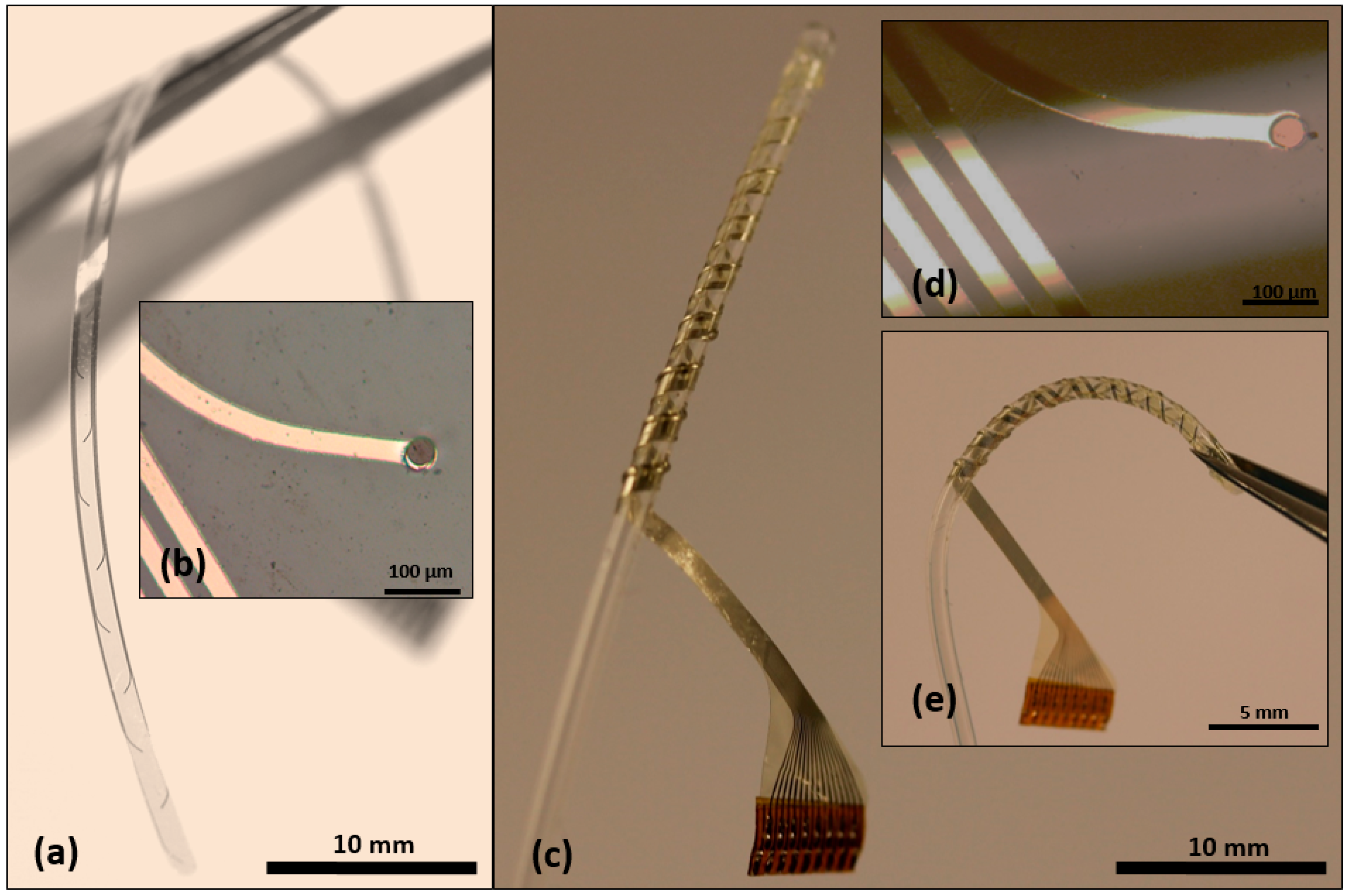 Integrity Assessment of a Hybrid DBS Probe that Enables ...