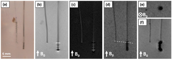 Integrity Assessment of a Hybrid DBS Probe that Enables ...