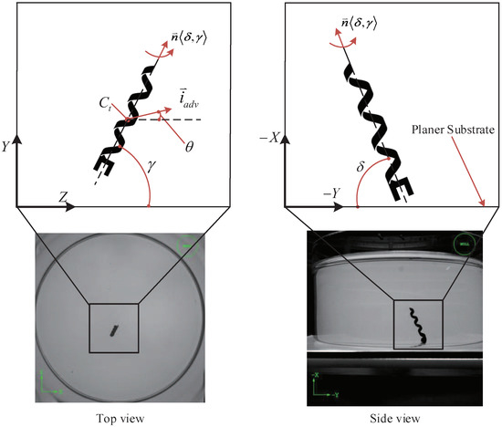 Automatic Manipulation of Magnetically Actuated Helical Microswimmers ...