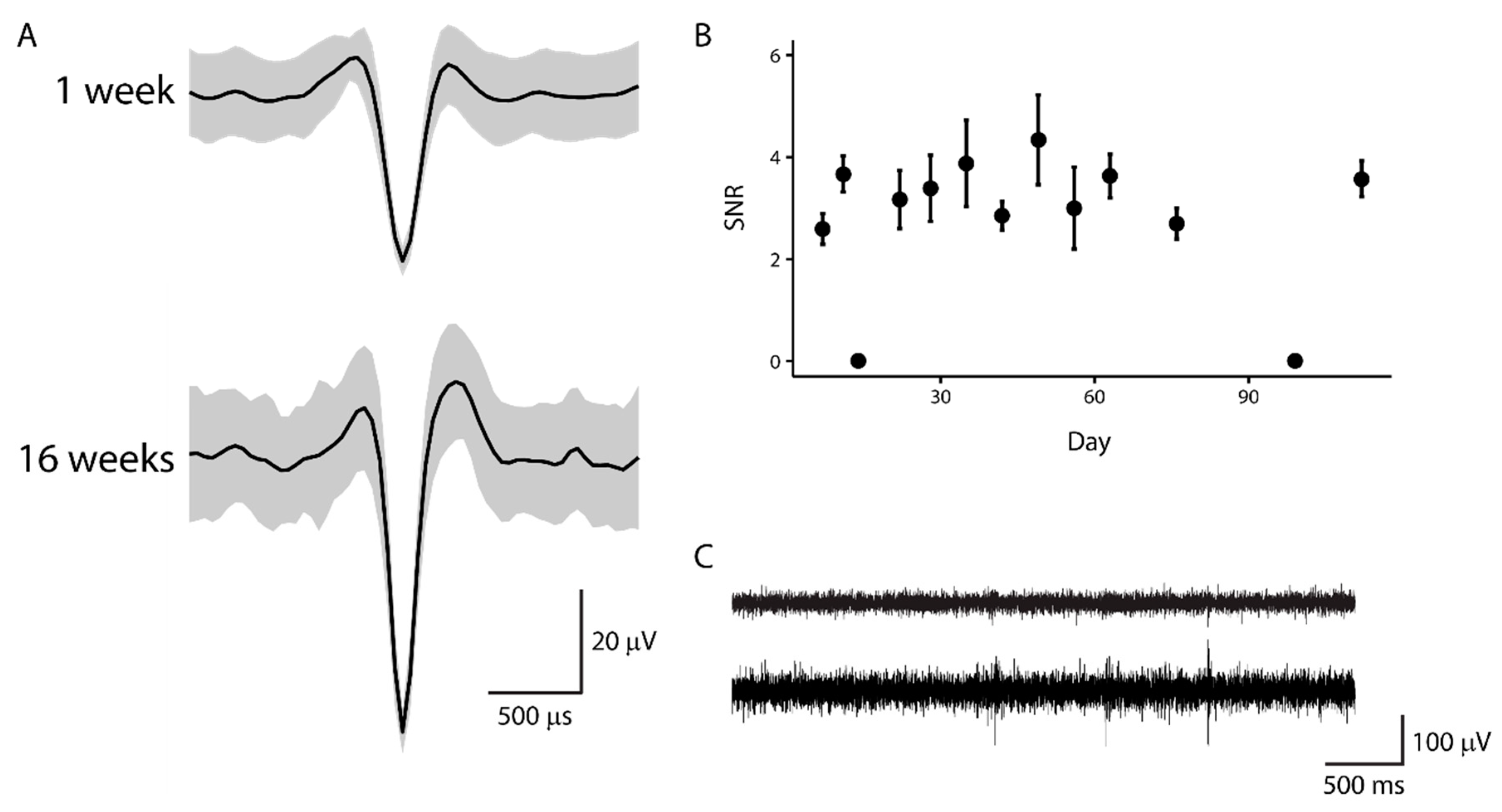 A Mechanically-Adaptive Polymer Nanocomposite-Based Intracortical Probe ...