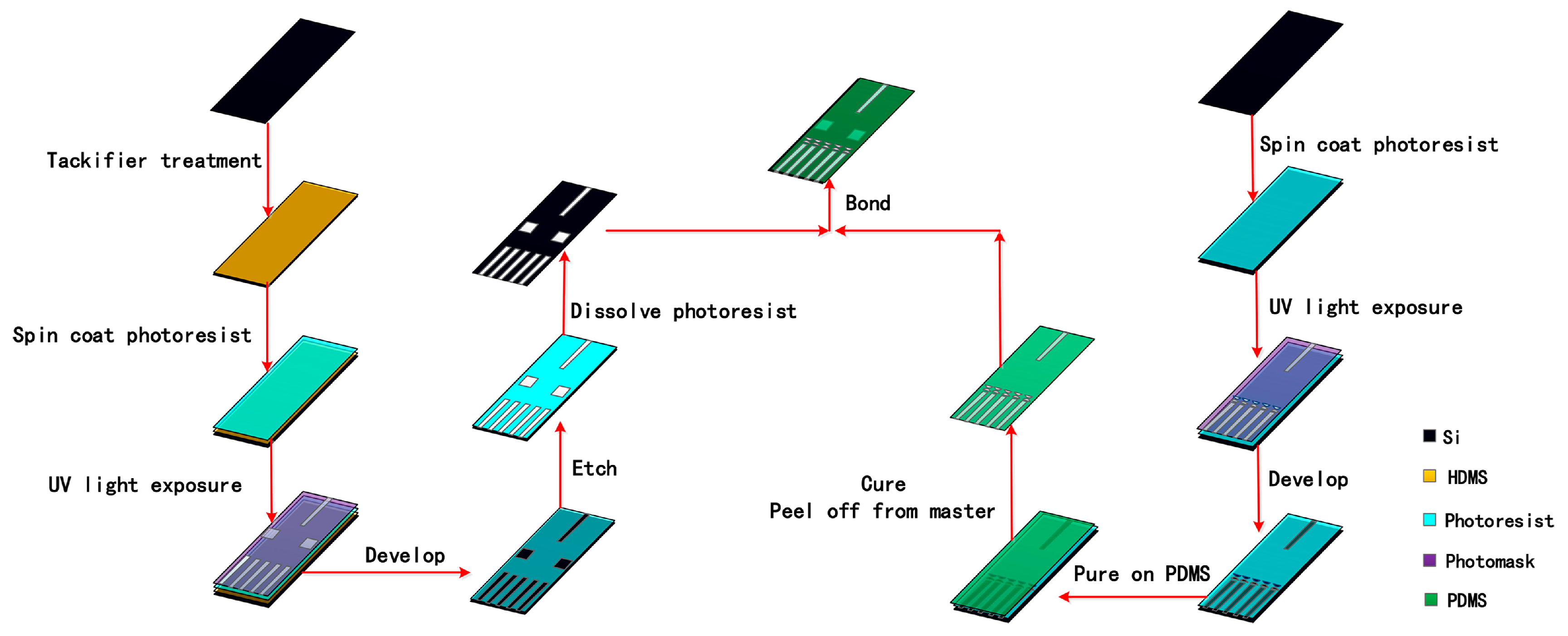 Cell Density Detector Based on Light Beam Focusing