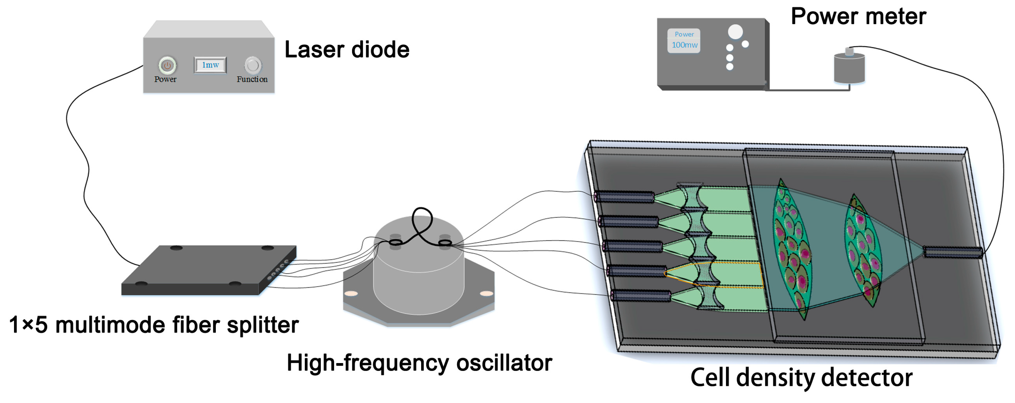 Cell Density Detector Based on Light Beam Focusing