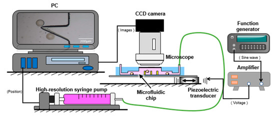 On-Chip Tunable Cell Rotation Using Acoustically Oscillating Asymmetrical Microstructures