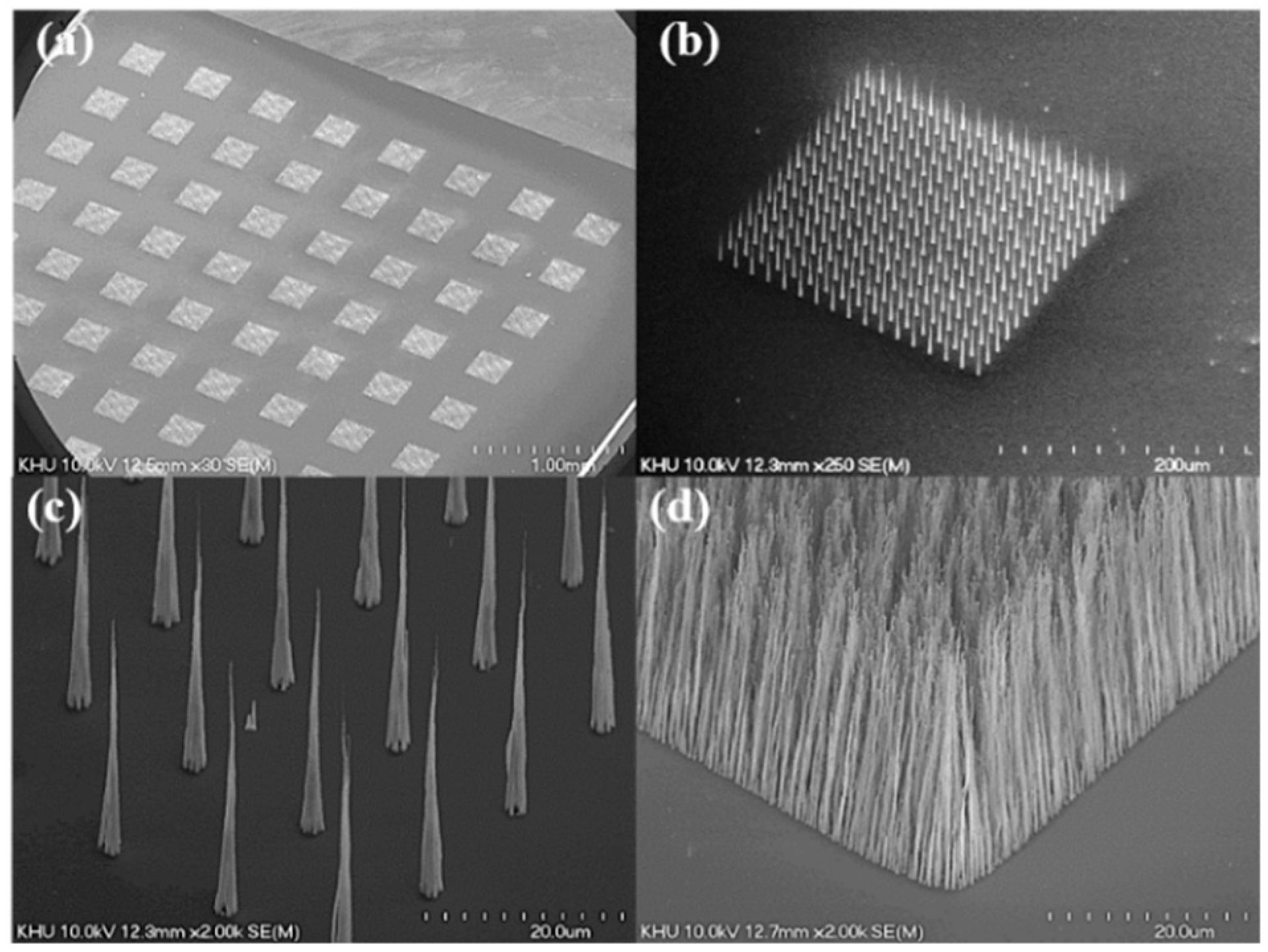 Fabrication of Stable Carbon Nanotube Cold Cathode Electron Emitters with Post-Growth Electrical ...