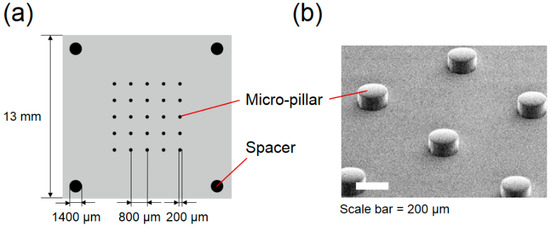 Numerical and Experimental Analyses of Three-Dimensional Unsteady Flow ...