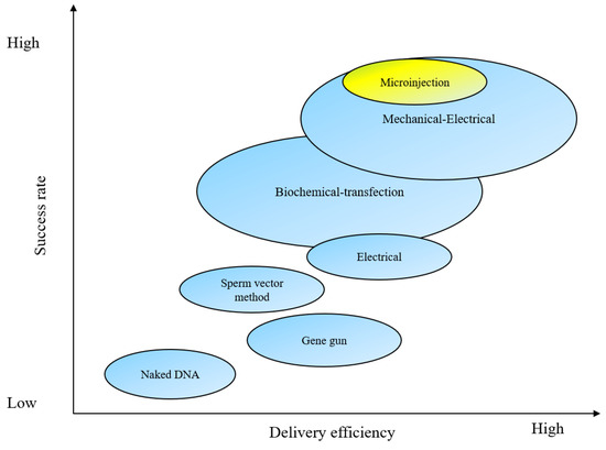 A Review of Automated Microinjection of Zebrafish Embryos