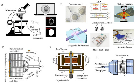 A Review of Automated Microinjection of Zebrafish Embryos