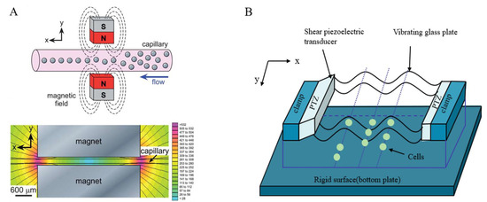 A Review of Automated Microinjection of Zebrafish Embryos
