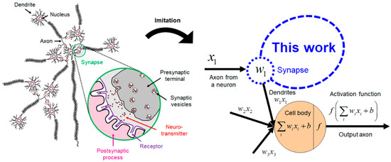 Design and Characterization of Semi-Floating-Gate Synaptic Transistor