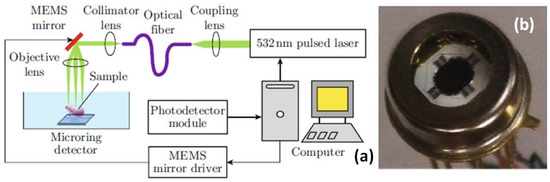 MEMS Actuators for Optical Microendoscopy
