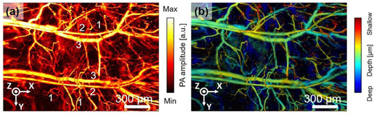 MEMS Actuators for Optical Microendoscopy