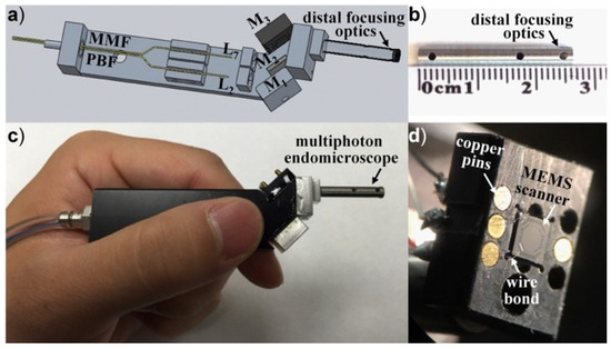 Micromachines | Free Full-Text | MEMS Actuators for Optical Microendoscopy