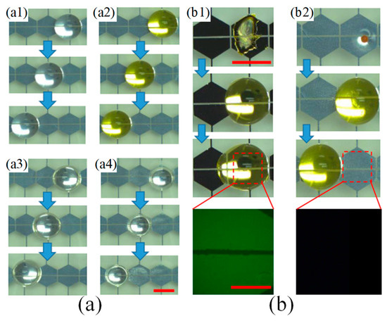 Self-Cleaning: From Bio-Inspired Surface Modification to MEMS ...