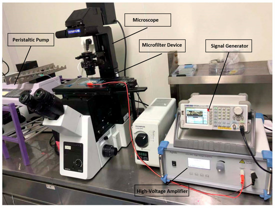Multi-Stage Particle Separation based on Microstructure Filtration and ...