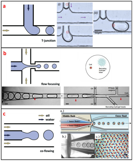 Microfluidic Single-Cell Manipulation and Analysis: Methods and Applications