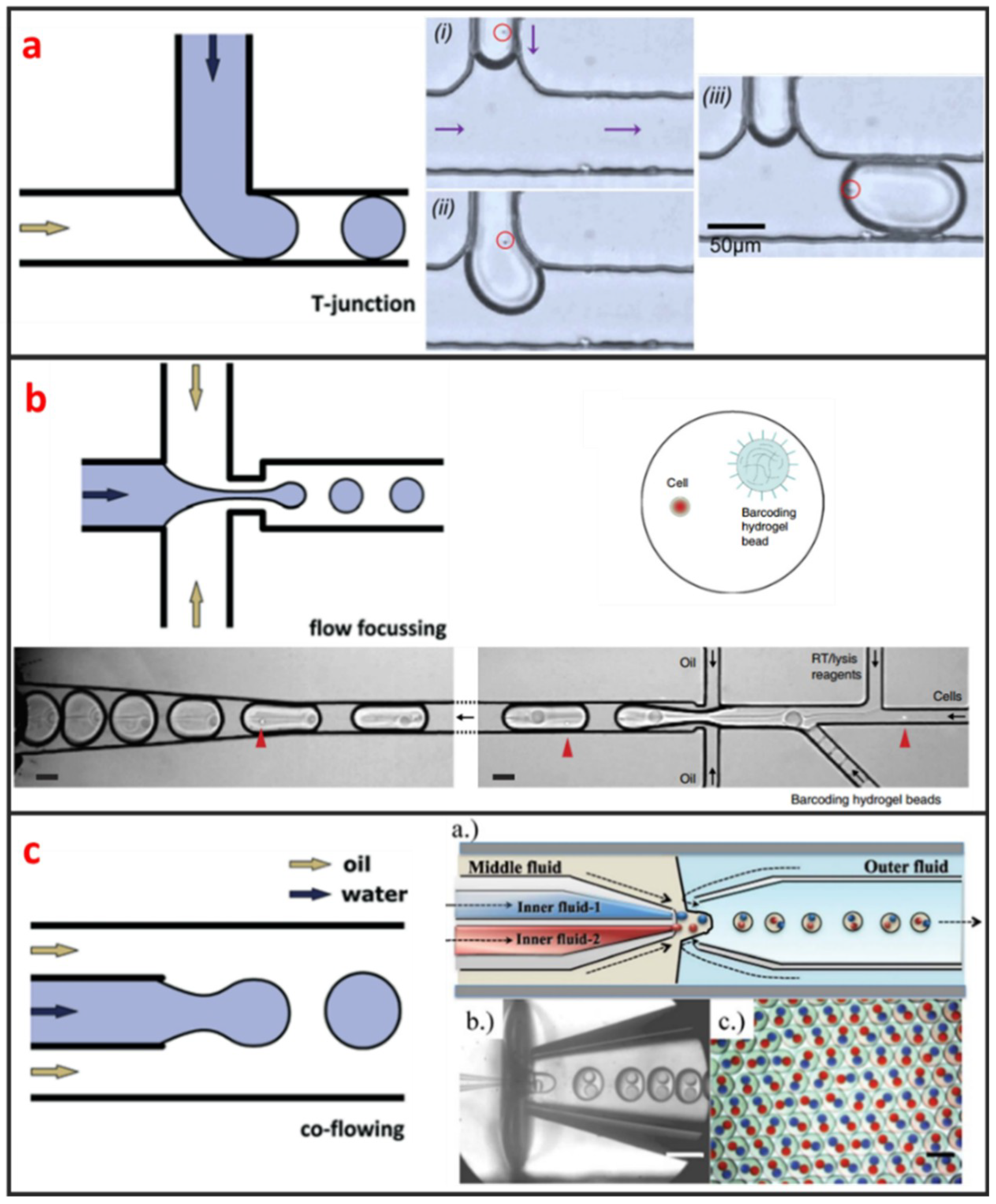 Microfluidic Single-Cell Manipulation and Analysis: Methods and ...