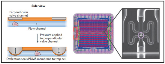 Microfluidic Single-Cell Manipulation and Analysis: Methods and Applications