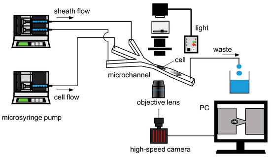 Micromachines | Special Issue : Micro/Nano Devices for Blood Analysis