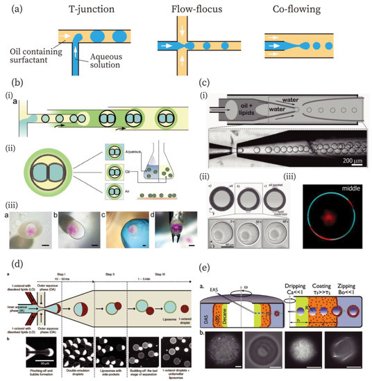 Creation of Artificial Cell-Like Structures Promoted by Microfluidics ...