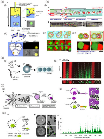 Creation of Artificial Cell-Like Structures Promoted by Microfluidics ...