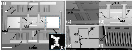 2D Au-Coated Resonant MEMS Scanner for NIR Fluorescence Intraoperative ...