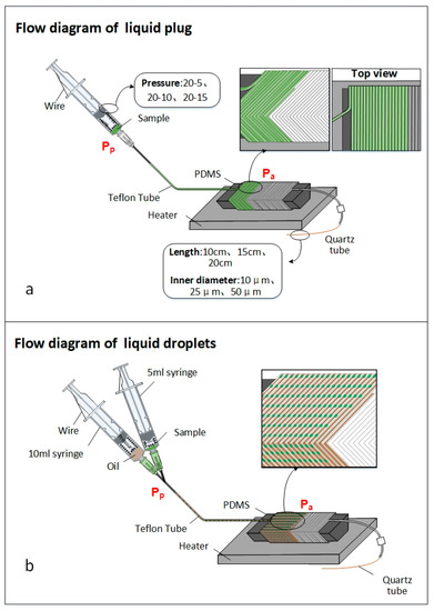 A Novel Self-Activated Mechanism for Stable Liquid Transportation ...
