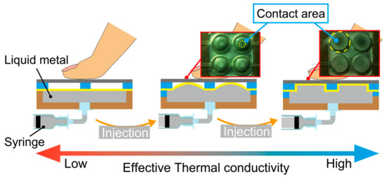 A Thermal Tactile Sensation Display with Controllable Thermal Conductivity