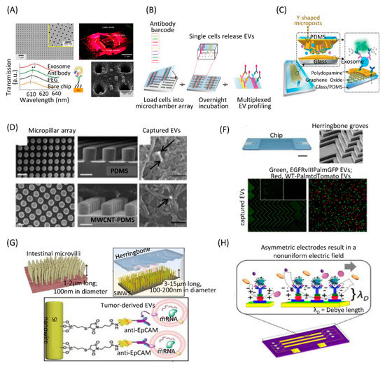 Micromachines | Free Full-Text | Application of Microfluidic Chips in ...