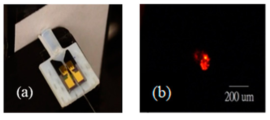 Micromachines | Free Full-Text | Design and Fabrication of a Push-Pull ...
