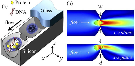 Single-Cell Point Constrictions for Reagent-Free High-Throughput ...