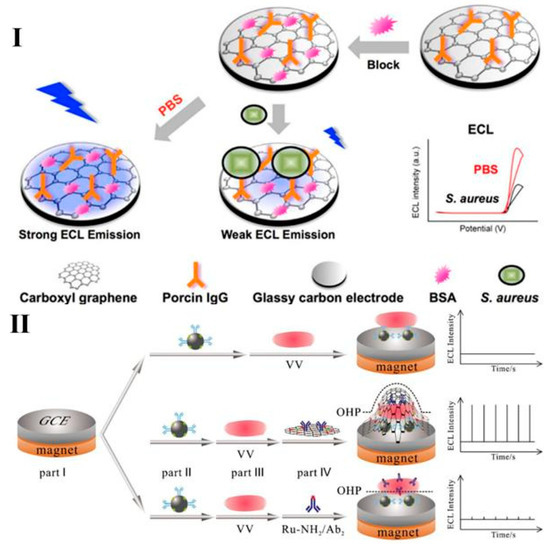 Recent Advances in Electrochemiluminescence Sensors for Pathogenic ...