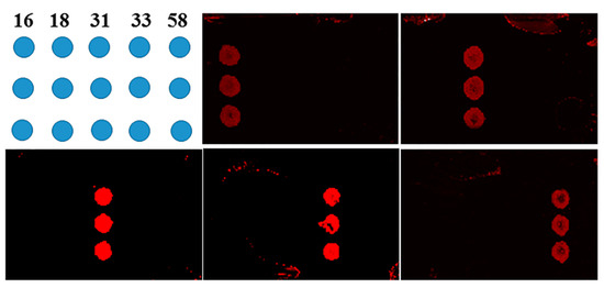 A Lab-on-a-Chip Device Integrated DNA Extraction and Solid Phase PCR ...