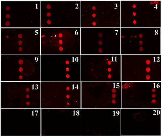 A Lab-on-a-Chip Device Integrated DNA Extraction and Solid Phase PCR ...