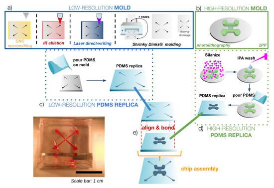 Micro–Macro: Selective Integration of Microfeatures Inside Low-Cost ...