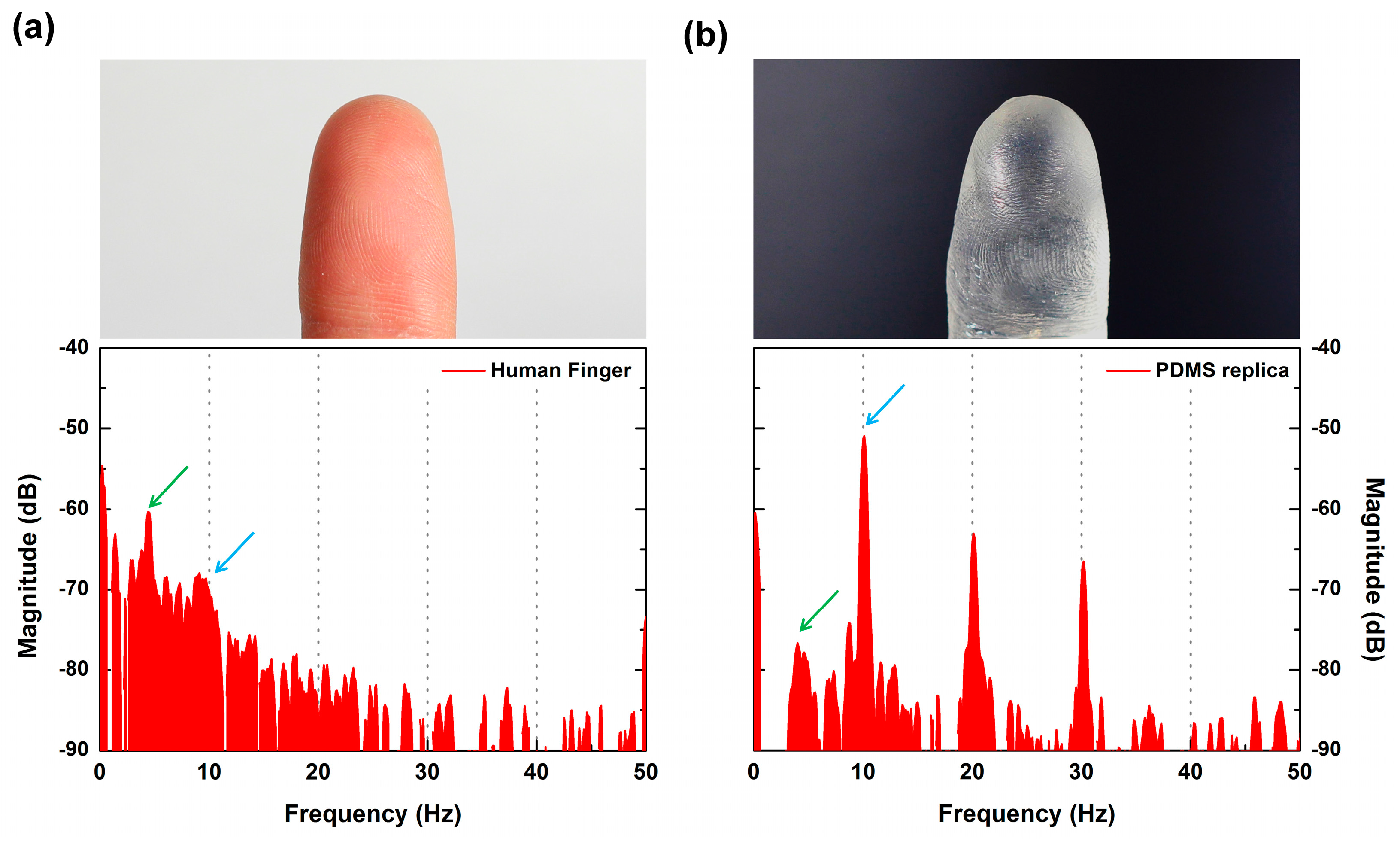 Biomimetic Tactile Sensors with Bilayer Fingerprint Ridges ...