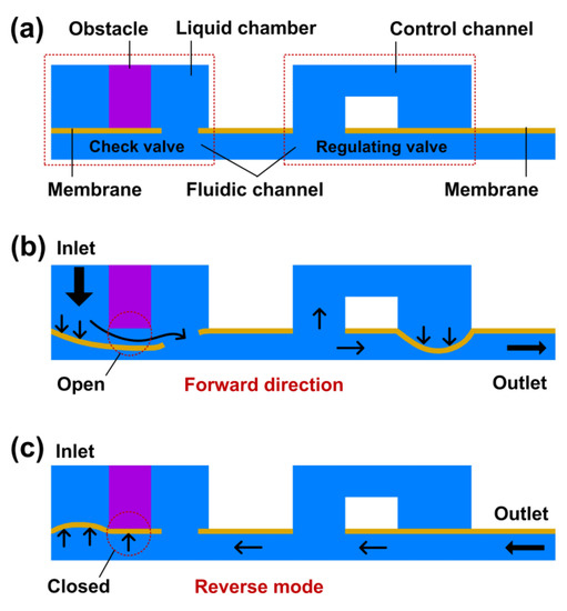Microfluidic Passive Flow Regulatory Device with an Integrated Check ...