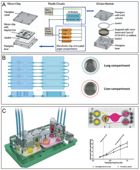 Engineered Liver-On-A-Chip Platform to Mimic Liver Functions and Its ...