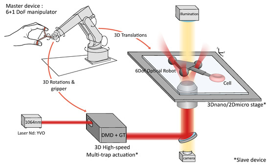 Tele–Robotic Platform for Dexterous Optical Single-Cell Manipulation