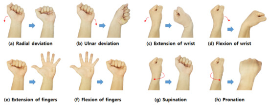 Implementation of Hand Gesture Recognition Device Applicable to Smart ...