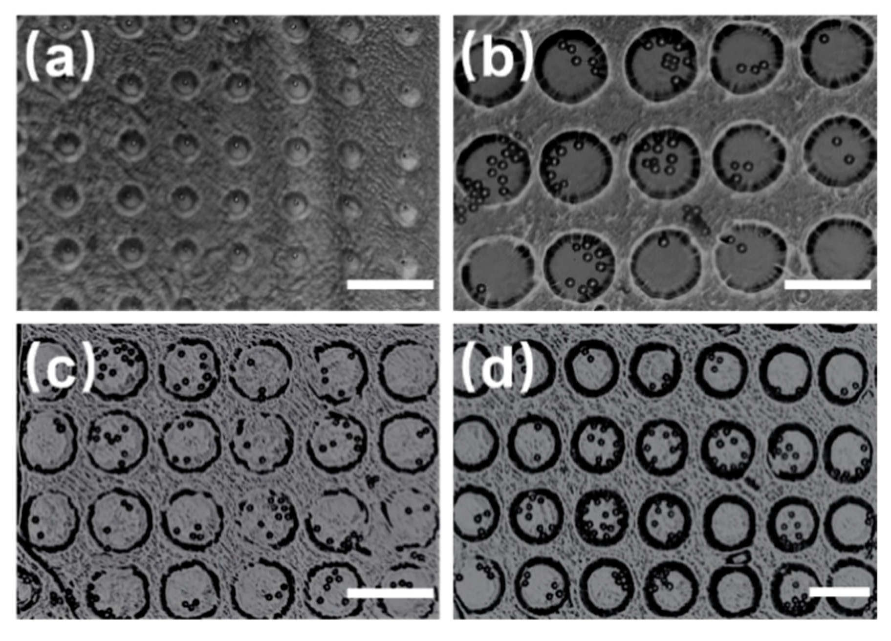 Facile Method for Fabricating Microfluidic Chip Integrated with ...