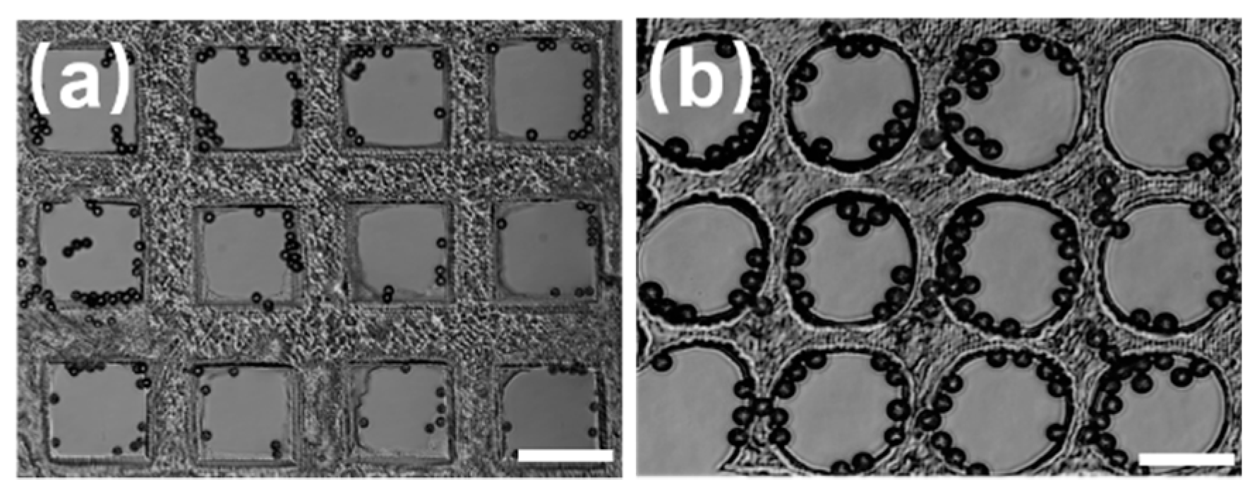 Facile Method for Fabricating Microfluidic Chip Integrated with ...