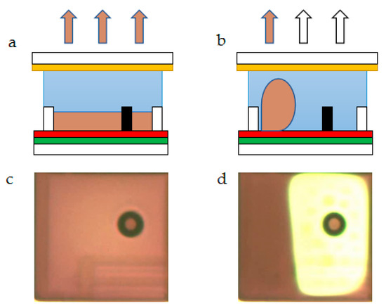 A Driving System for Fast and Precise Gray-Scale Response Based on ...
