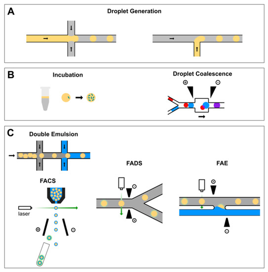 Droplet Microfluidics-Enabled High-Throughput Screening for Protein ...
