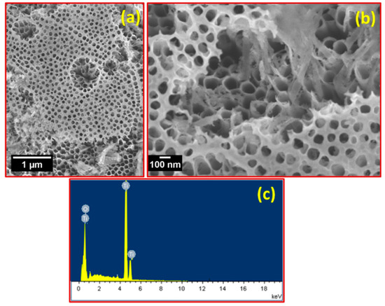 Micromachines | Free Full-Text | Fabrication of TiO2-Nanotube-Array ...