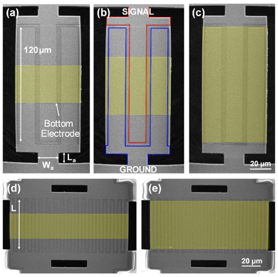 A Study on the Effects of Bottom Electrode Designs on Aluminum Nitride ...