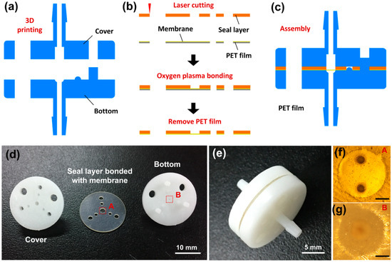 Microfluidic Passive Valve with Ultra-Low Threshold Pressure for High ...