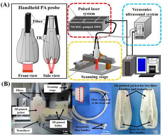Characterization of a Fiber Bundle-Based Real-Time Ultrasound ...