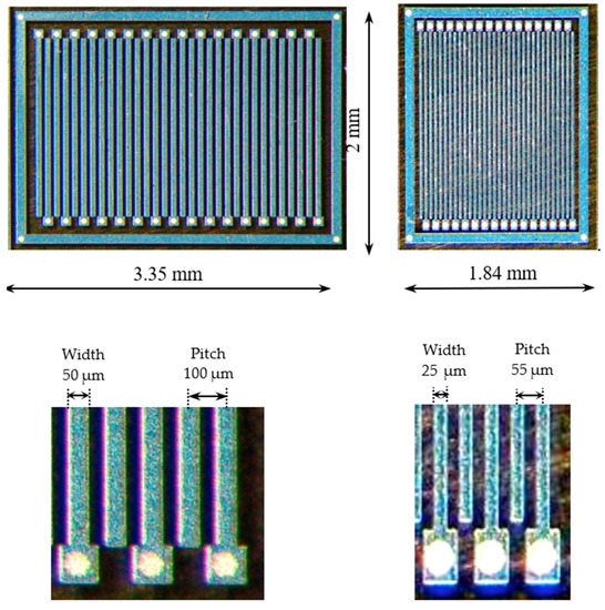 Silicon Carbide Microstrip Radiation Detectors