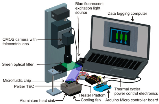 Microfluidic Array Chip for Parallel Detection of Waterborne Bacteria