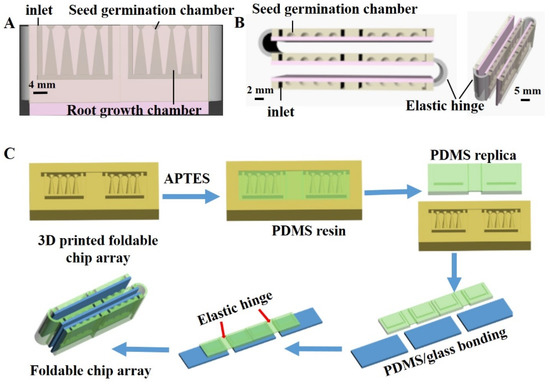 A Foldable Chip Array for the Continuous Investigation of Seed ...